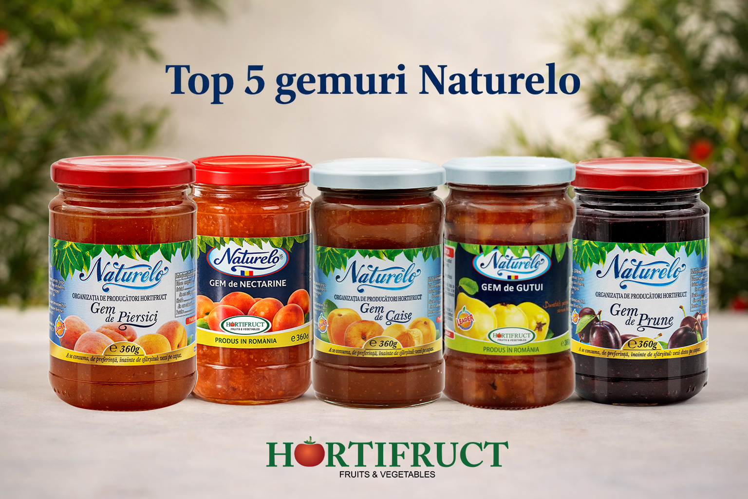 Top 5 gemuri Naturelo – preferințele consumatorilor pentru gust ...